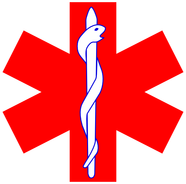 Download HD Red Paramedic Logo - Paramedik Png Transparent PNG Image ...