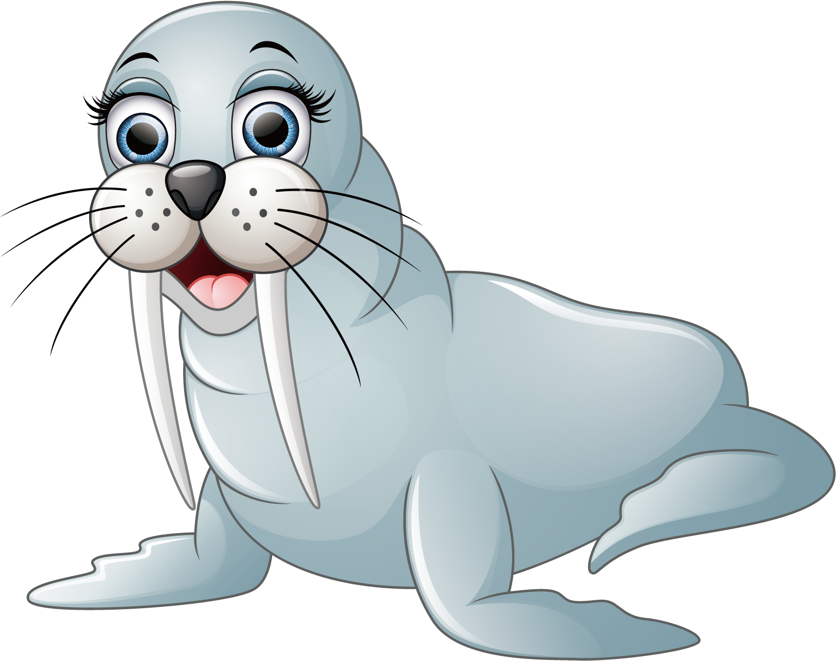 Download Walrus Cartoon Illustration - Walrus Cartoon - HD Transparent ...