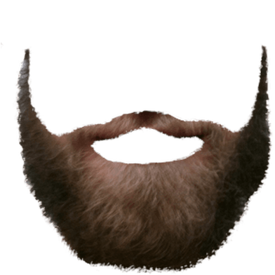 Download Beard Transparent - HD Transparent PNG - NicePNG.com