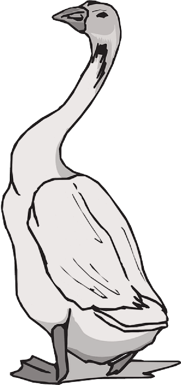 Download HD Mb Image/png - Gander Transparent PNG Image - NicePNG.com