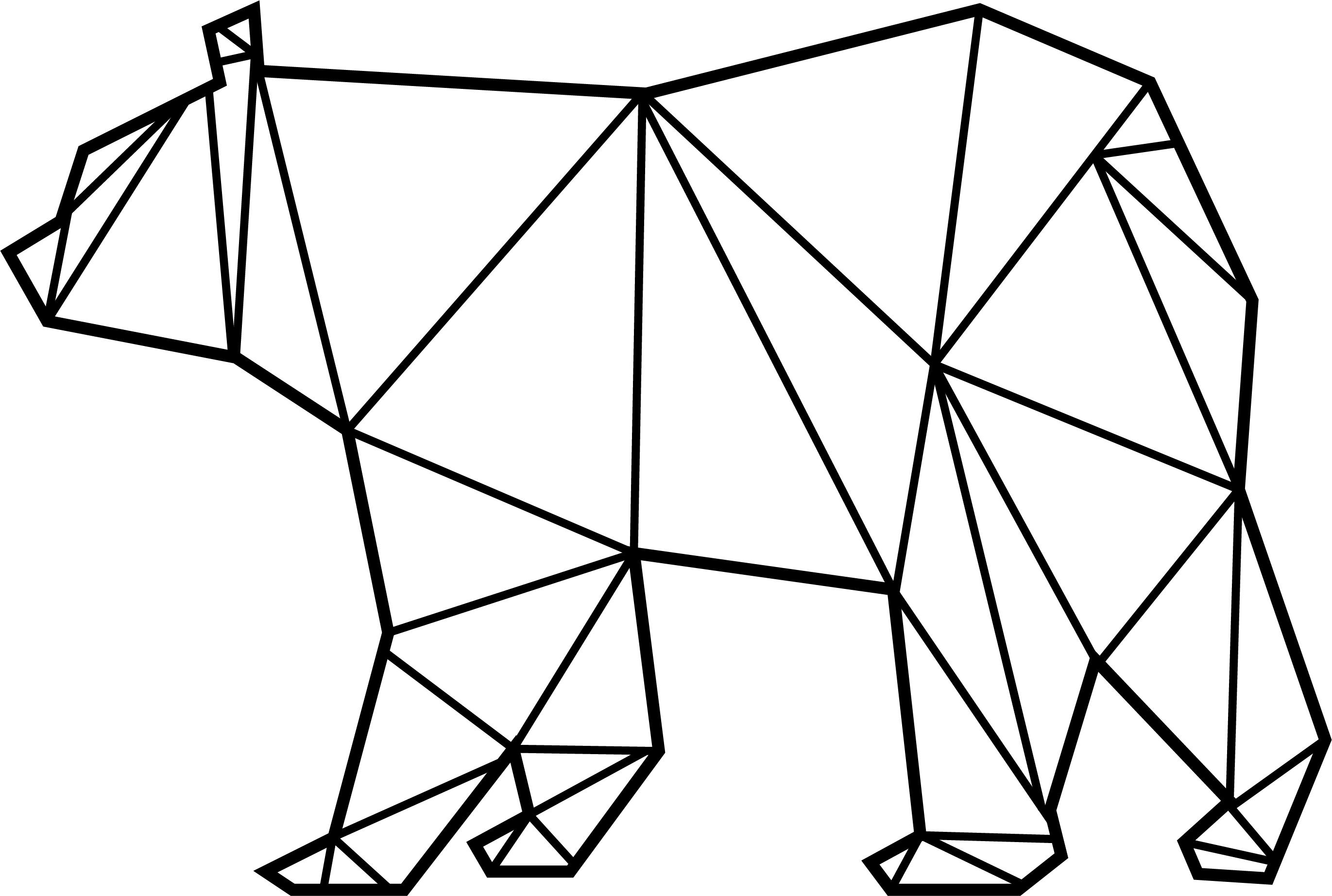 Download Illustrationi Made A Geometric Grizzly Bear - Geometric Polar ...