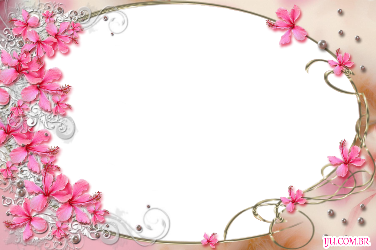 Download HD Molduras Para Fotos Flores - Frames Free Download Transparent PNG Image - NicePNG.com