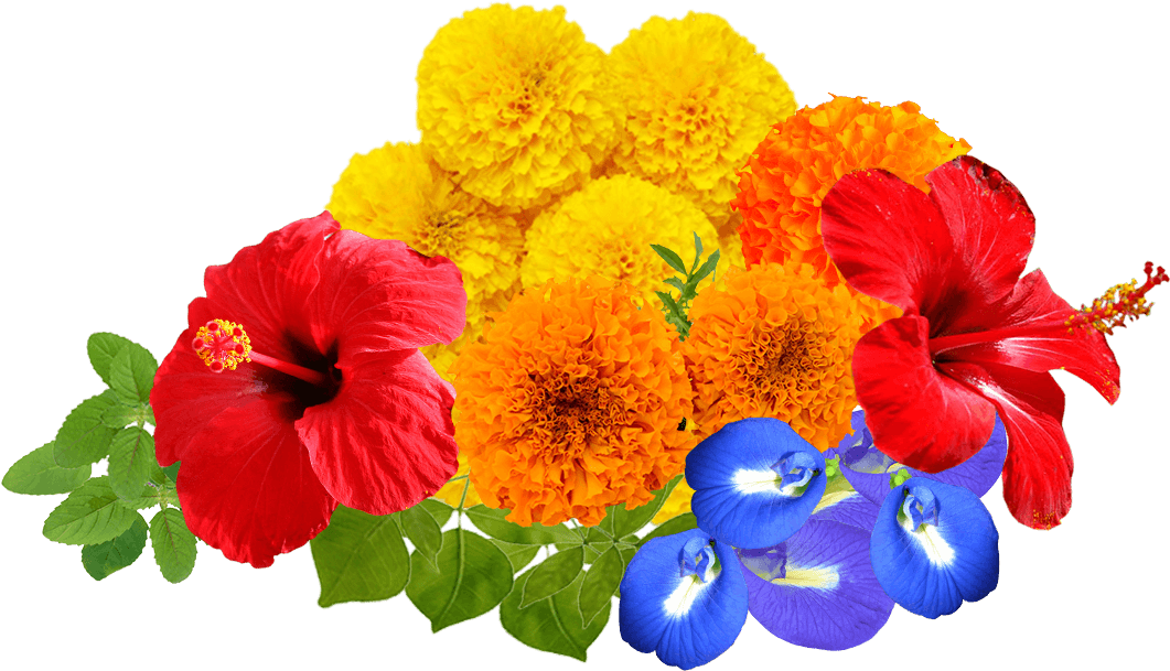 Download HD Real Flowers Png For Kids - Decorative Pooja Flowers Png ...