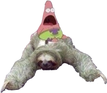 Download Transparent Sloth - HD Transparent PNG - NicePNG.com