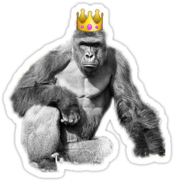 Download HD King Harambe Transparent PNG Image - NicePNG.com