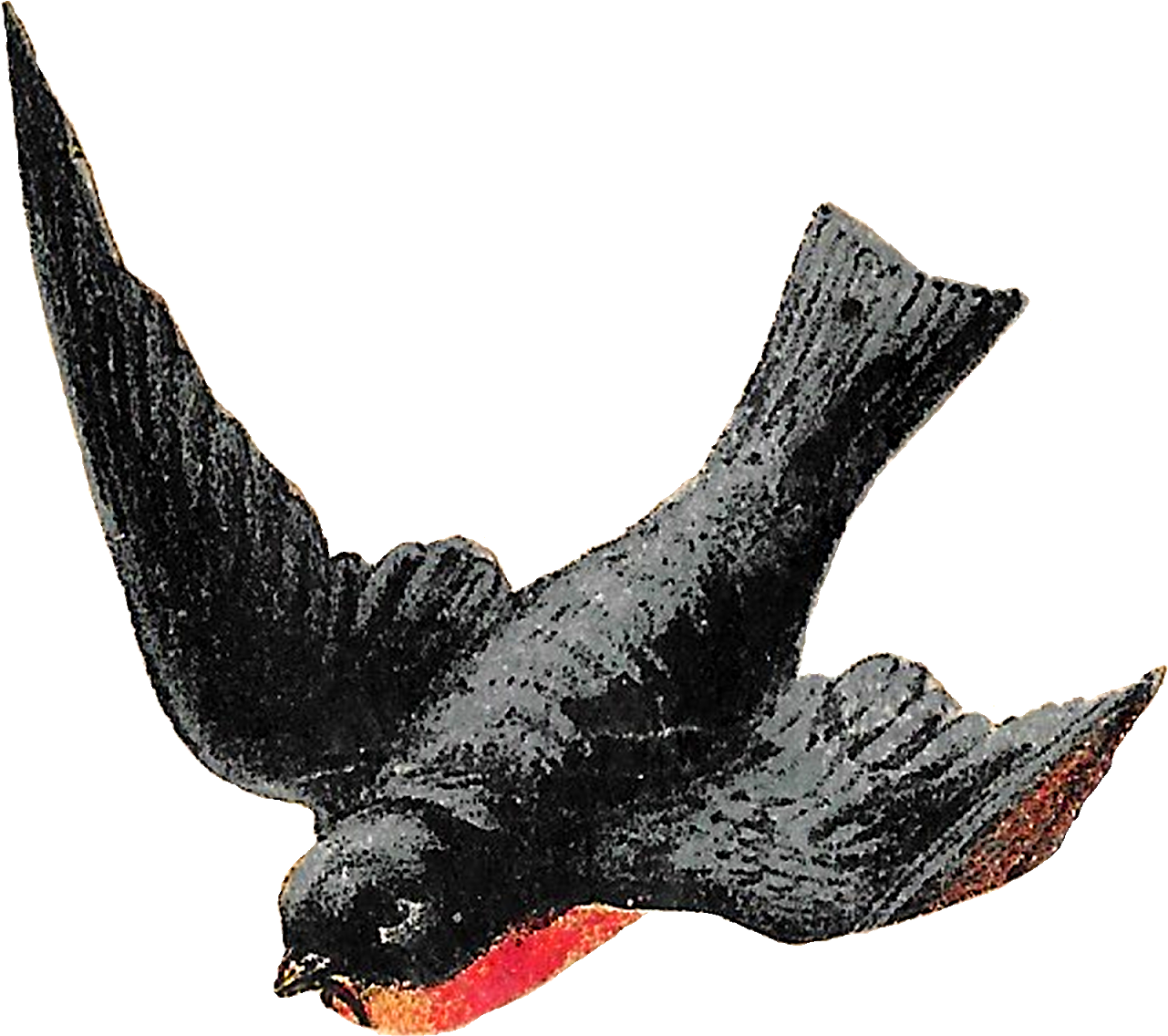 Download HD Digital Flying Birds Clipart Downloads Transparent PNG ...