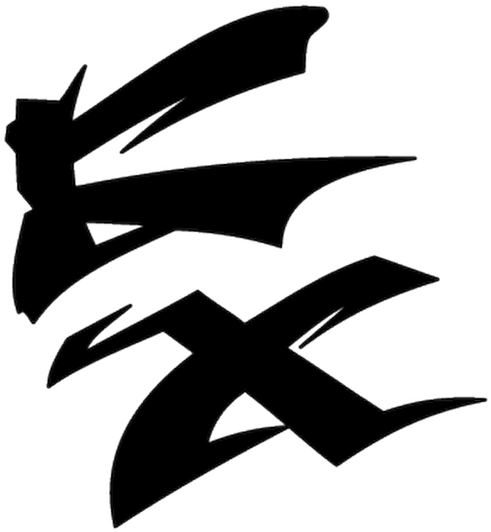 Download Kx Decal - Kawasaki Kx Logo - HD Transparent PNG - NicePNG.com