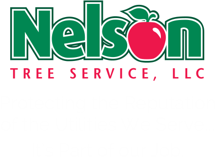 Download Nelson Tree Service Logo - HD Transparent PNG - NicePNG.com