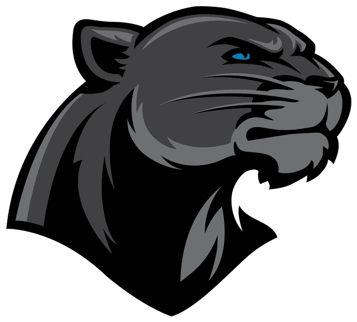 Download Panthers Logo Png For Kids - Logo Black Panthers Thonon - HD ...
