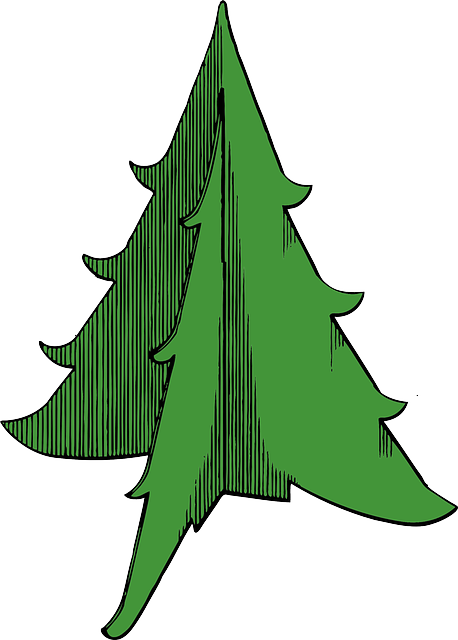 Download Outline, Tree, Recreation, Trees, Christmas, Holiday ...