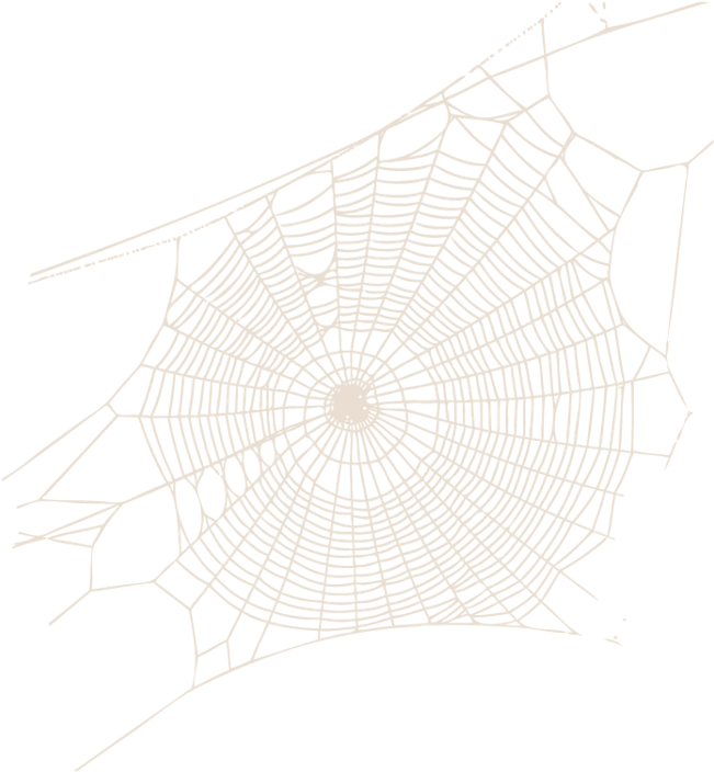 Download Spider Web Transparent Png - Spider Web - HD Transparent PNG ...