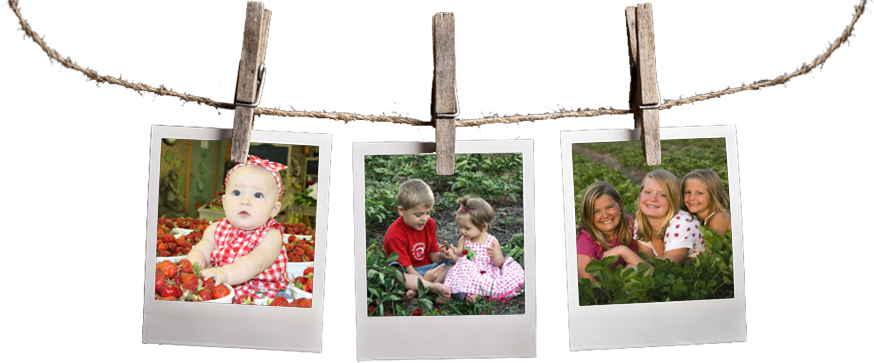 Download Photo-string - String Png - HD Transparent PNG - NicePNG.com