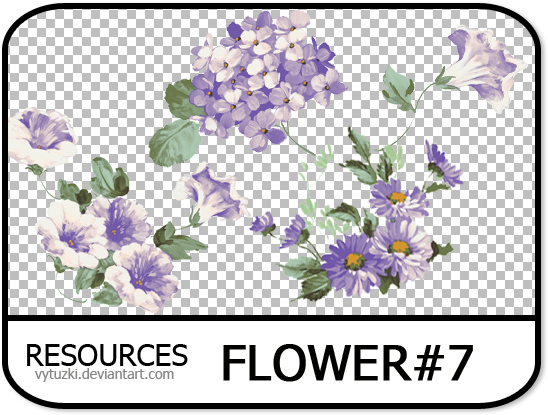 Flower Png Pack | Best Flower Site