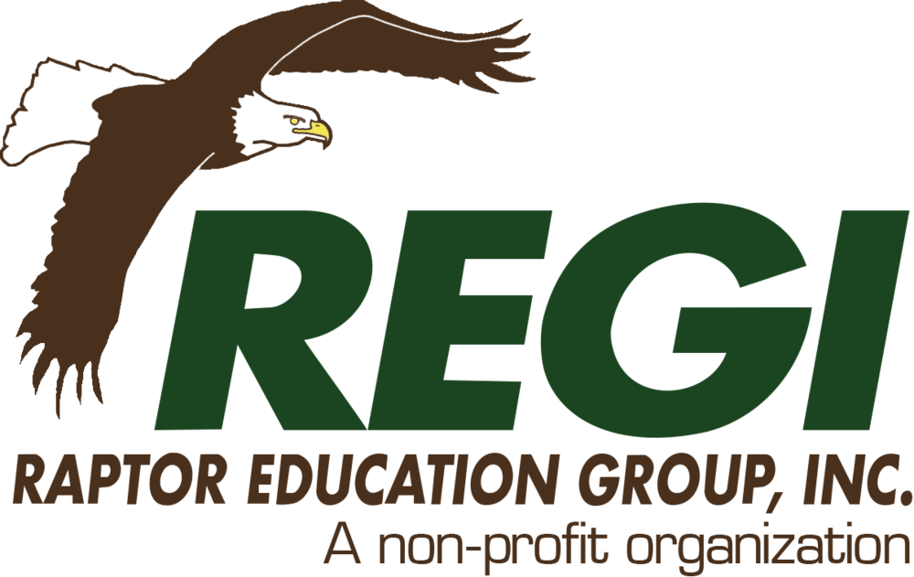 Download Regi Logo Large Transparent - Raptor Education Group Logo - HD ...