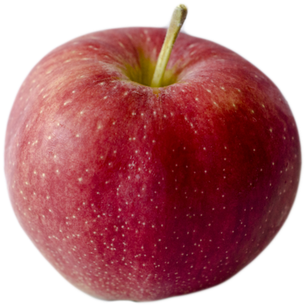 Download Mollie's Delicious - HD Transparent PNG - NicePNG.com