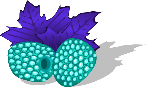 Download Raspberry Vector Clip Art - Blue Raspberry Clip Art - HD ...