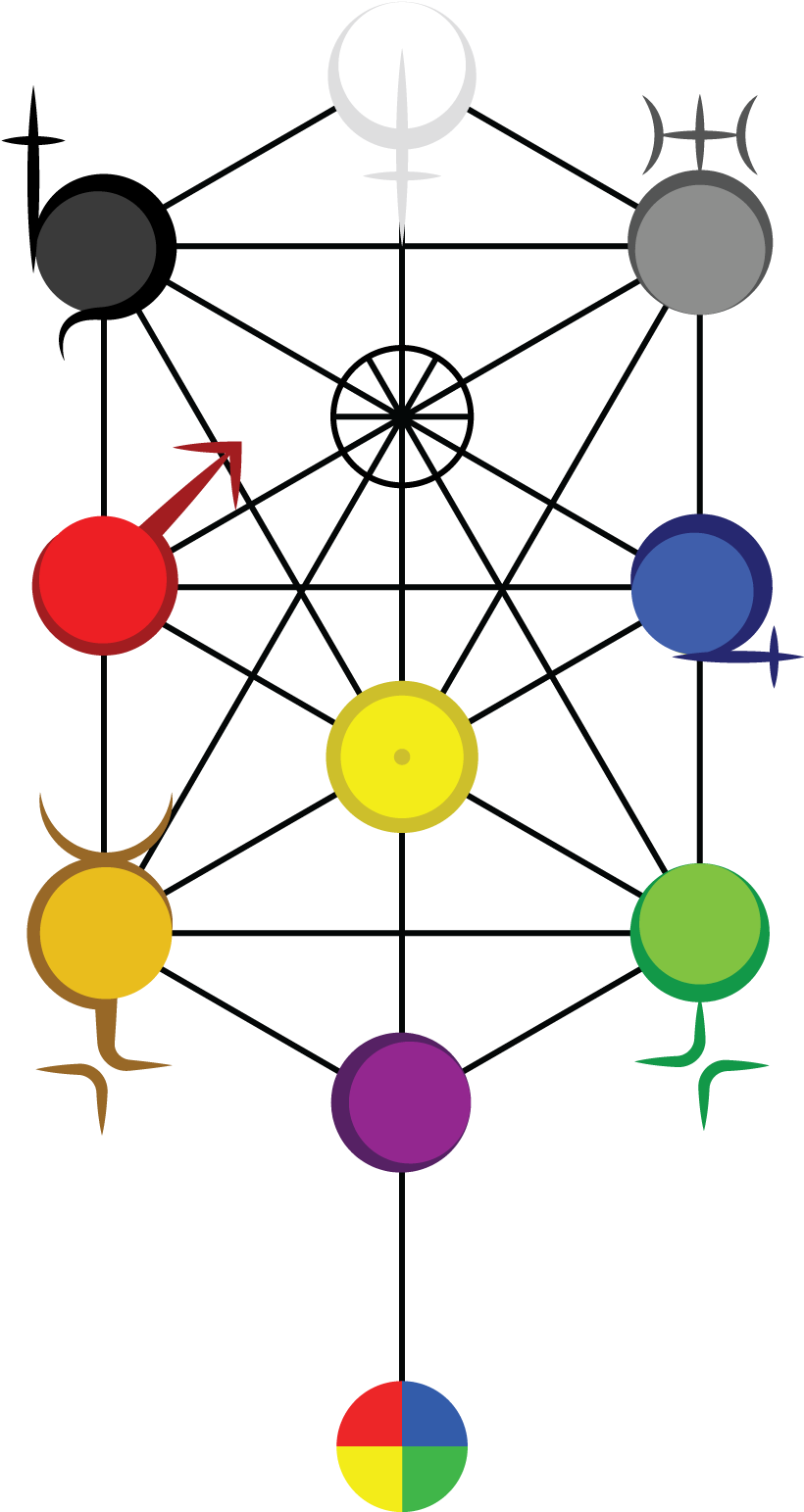 Download HD Tree Of Life - Alloy Transparent PNG Image - NicePNG.com