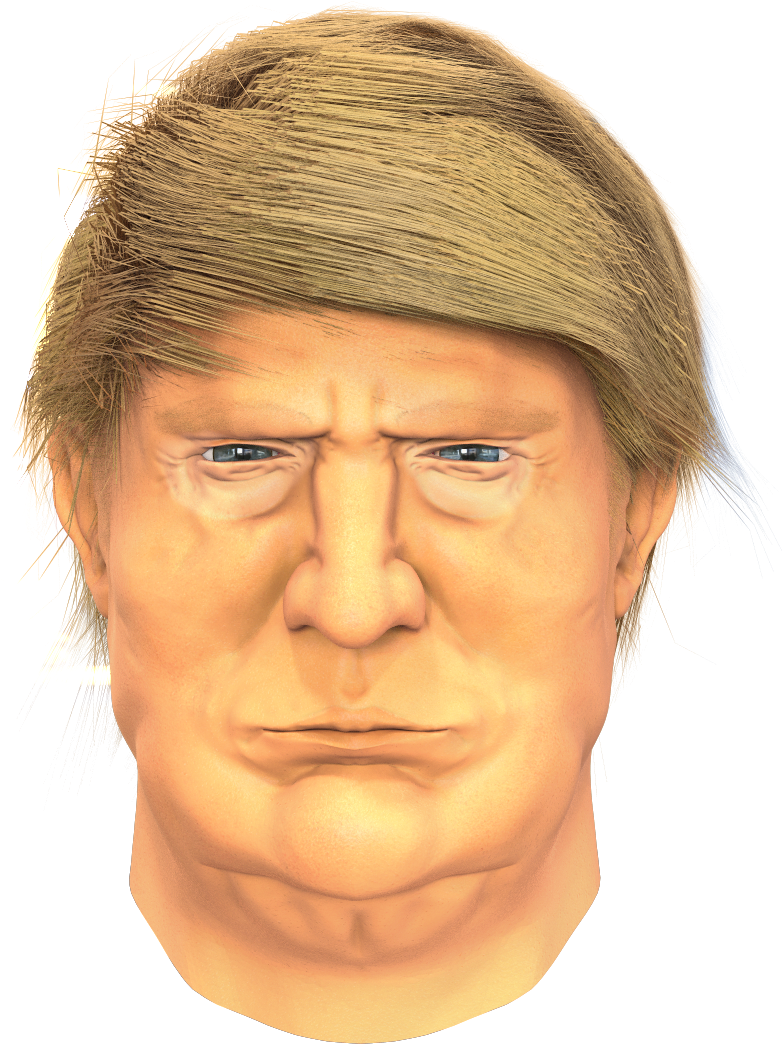 Download HD Donald Trump Head Sculpt - Sketch Transparent PNG Image ...