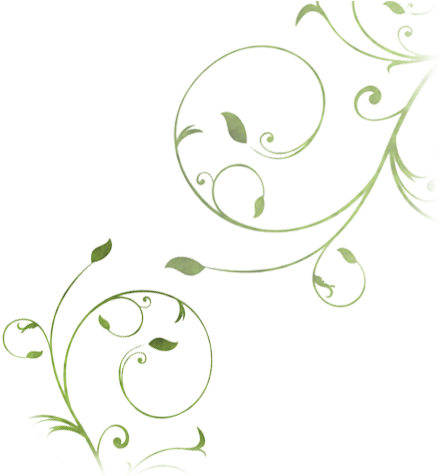 Download Photo Vines - Illustration - HD Transparent PNG - NicePNG.com