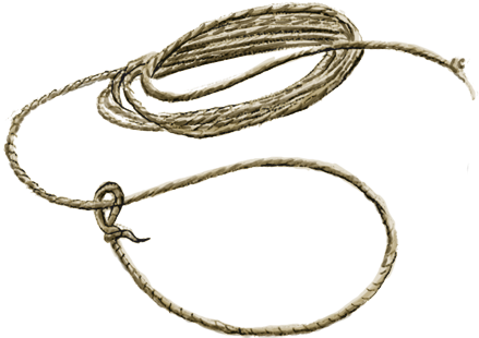 Download HD Rope Clipart Laso - Lasso Png Transparent PNG Image ...