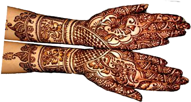 Download Mehendi Designs Png Picture - Bridal Mehndi Designs For Hands ...