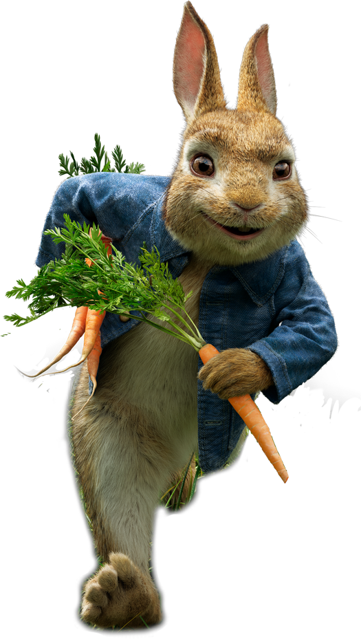 Download Estreno - Peter Rabbit 2 - HD Transparent PNG - NicePNG.com