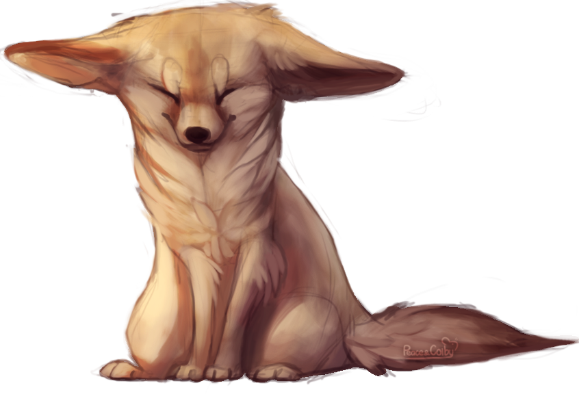 Download Fennec By Kavlri On Deviantart - Fennec Fox No Background - HD ...