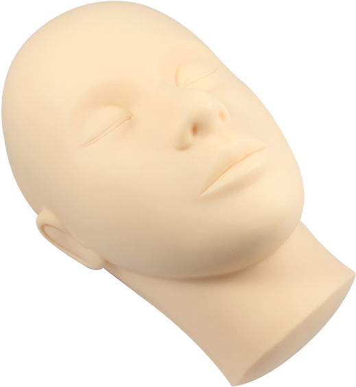 Download HD Head Transparent PNG Image - NicePNG.com