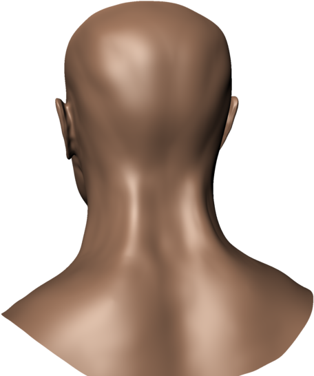 Download HD Back Of Head Png - Head Back Transparent PNG Image ...