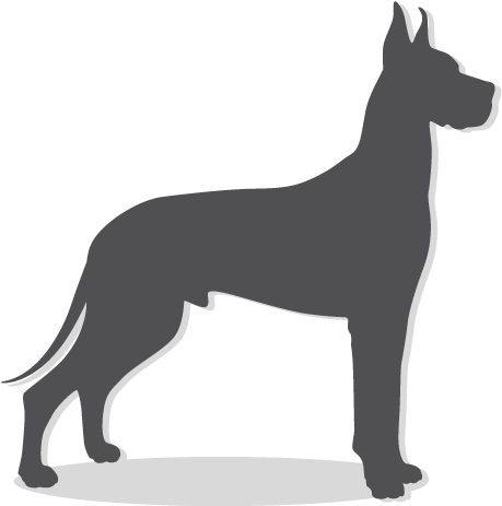 Download Icon - Great Dane Icon Transparent - HD Transparent PNG ...