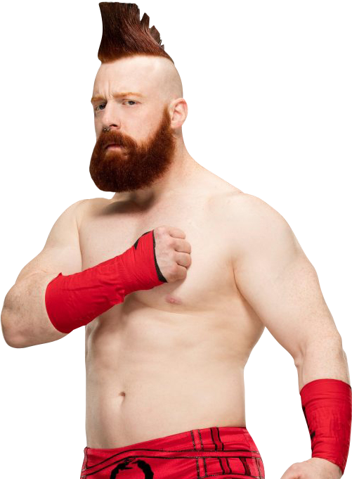 Download HD Sheamus Png Pic - Sheamus Png 2017 Transparent PNG Image ...