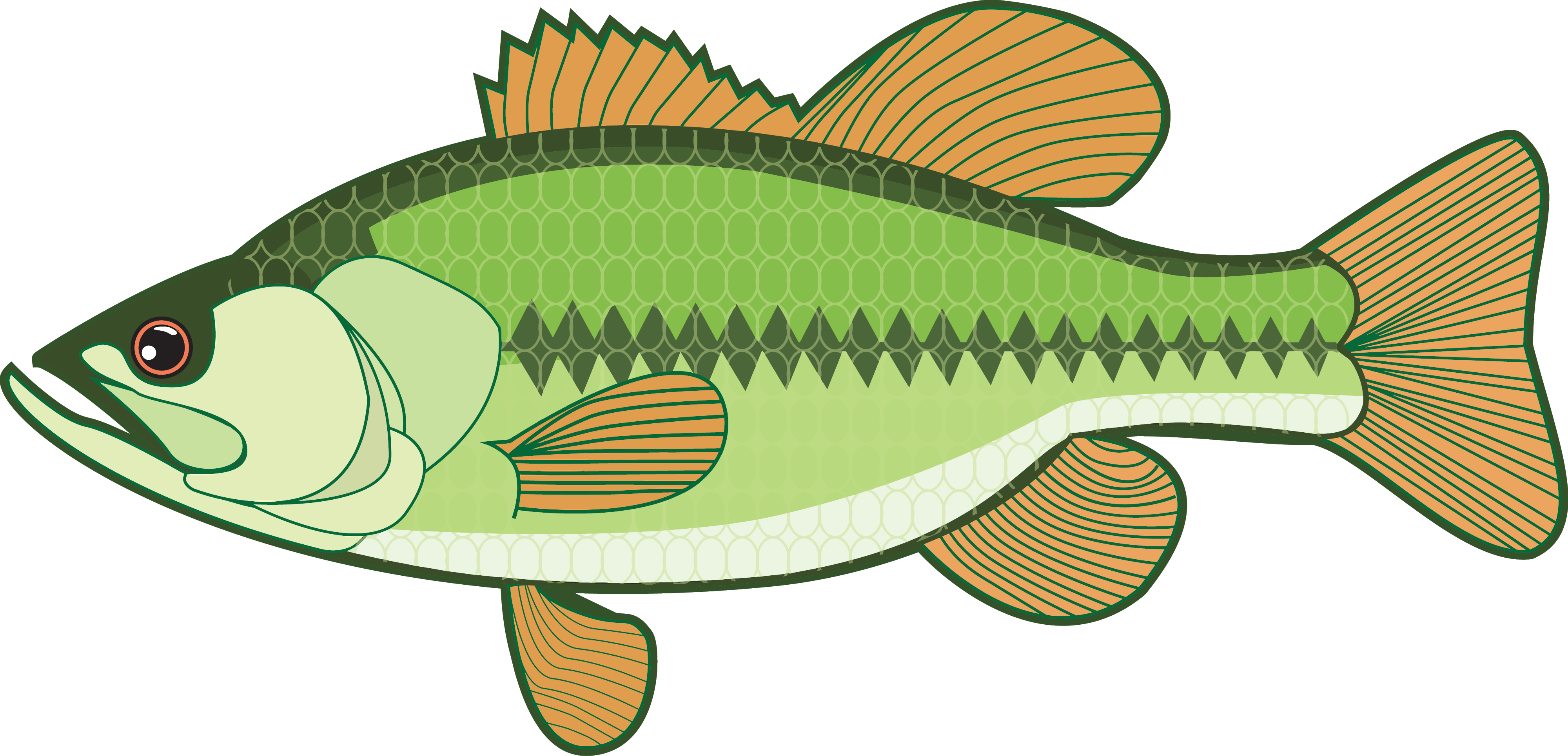 Walleye Clip Art