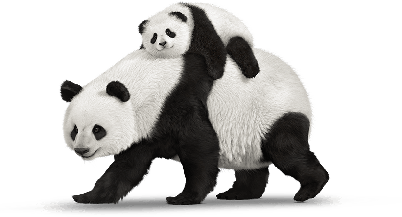 Download HD Bring Your Own Device - Telus Panda Transparent PNG Image ...