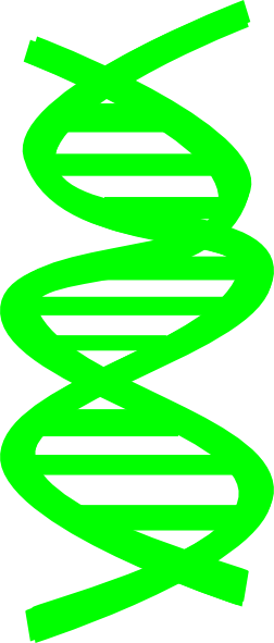 Download HD Dna Clip Art At Clker - Dna Clip Art Transparent PNG Image ...