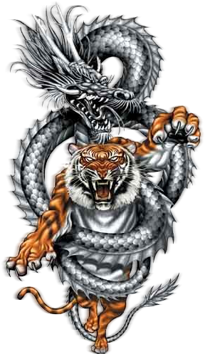 Download Dragon Tigre Pictures, Images And Photos Mehr Japanese ...
