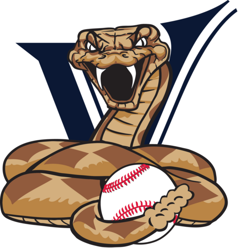 Download HD Venom Baseball Transparent PNG Image - NicePNG.com