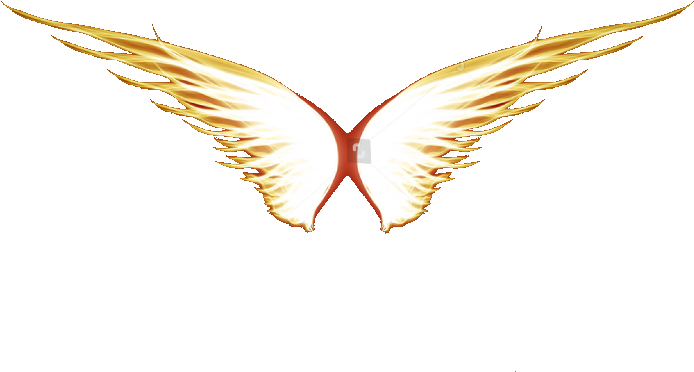 Download Flame Wing - HD Transparent PNG - NicePNG.com