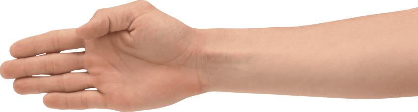 Download Free Png Hands Png Images Transparent - Hand Holding Something ...