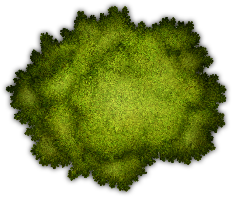 Download HD Map Marker, Broccoli, Tabletop Rpg, Game Assets, Character ...