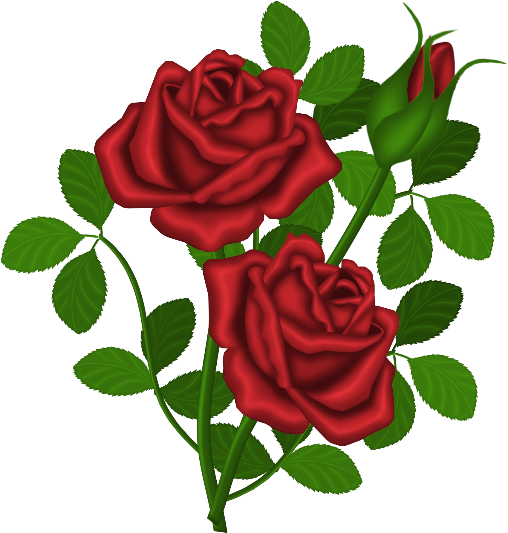 Download Rose Bush Clipart Dozen Red Roses - Roses Clipart - HD ...