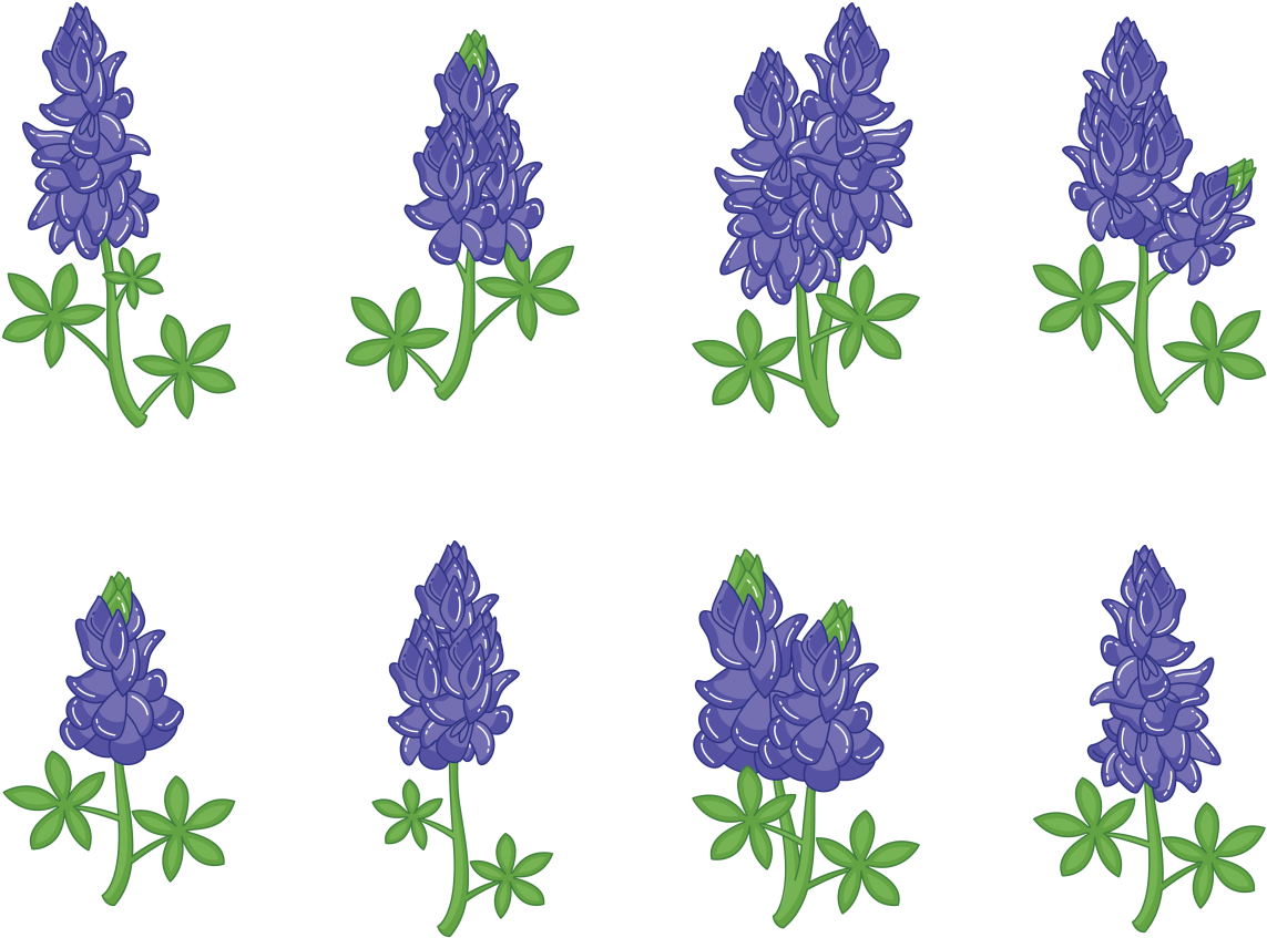 Download Bluebonnet Flower Vectors - Bluebonnet Vector - HD Transparent ...