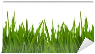 Download HD Yard Transparent PNG Image - NicePNG.com