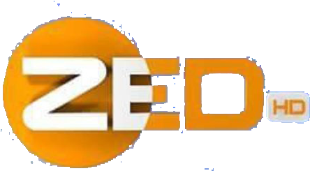 Download HD Zed Tv Kurdish Tv Tags - Zed Tv Logo Transparent PNG Image ...