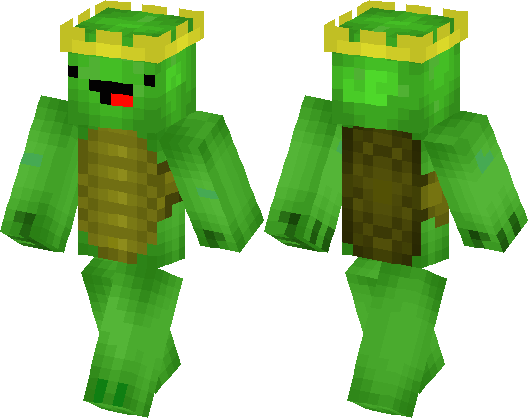 Derp Turtle Minecraft Skin