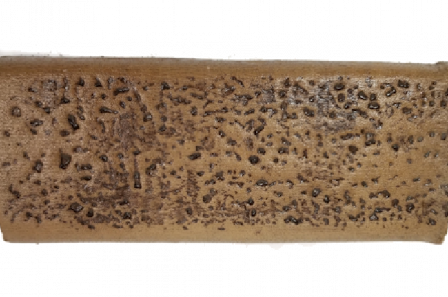 Download HD Rock Salt Texture Roller - Table Salt Transparent PNG Image ...