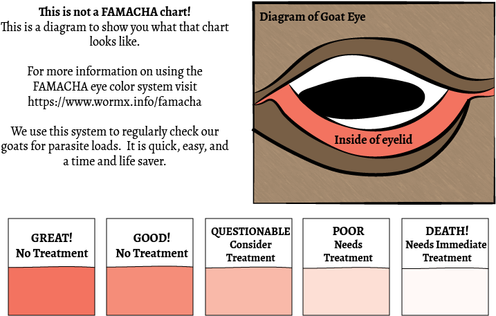 Download HD Sick Goat Worms - Goat Famacha Chart Transparent PNG Image ...