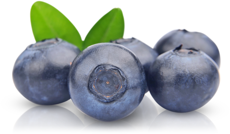 Download Blueberries Png - Transparent Background Blueberry Png - HD ...