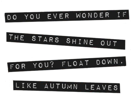 Tumblr Transparents Quotes