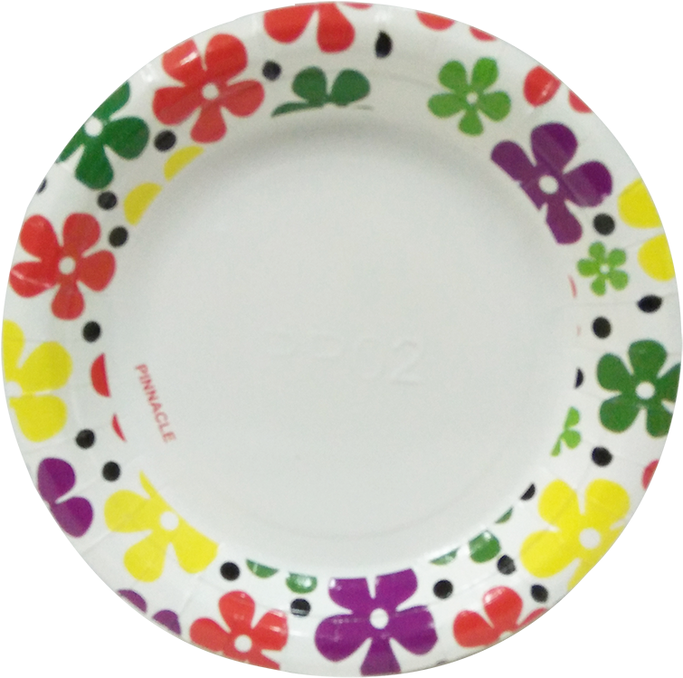 Download HD Paper Plate - Circle Transparent PNG Image - NicePNG.com