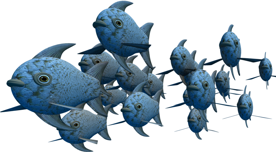 Download School Of Fish Png Photos - School Of Fish Png - HD ...